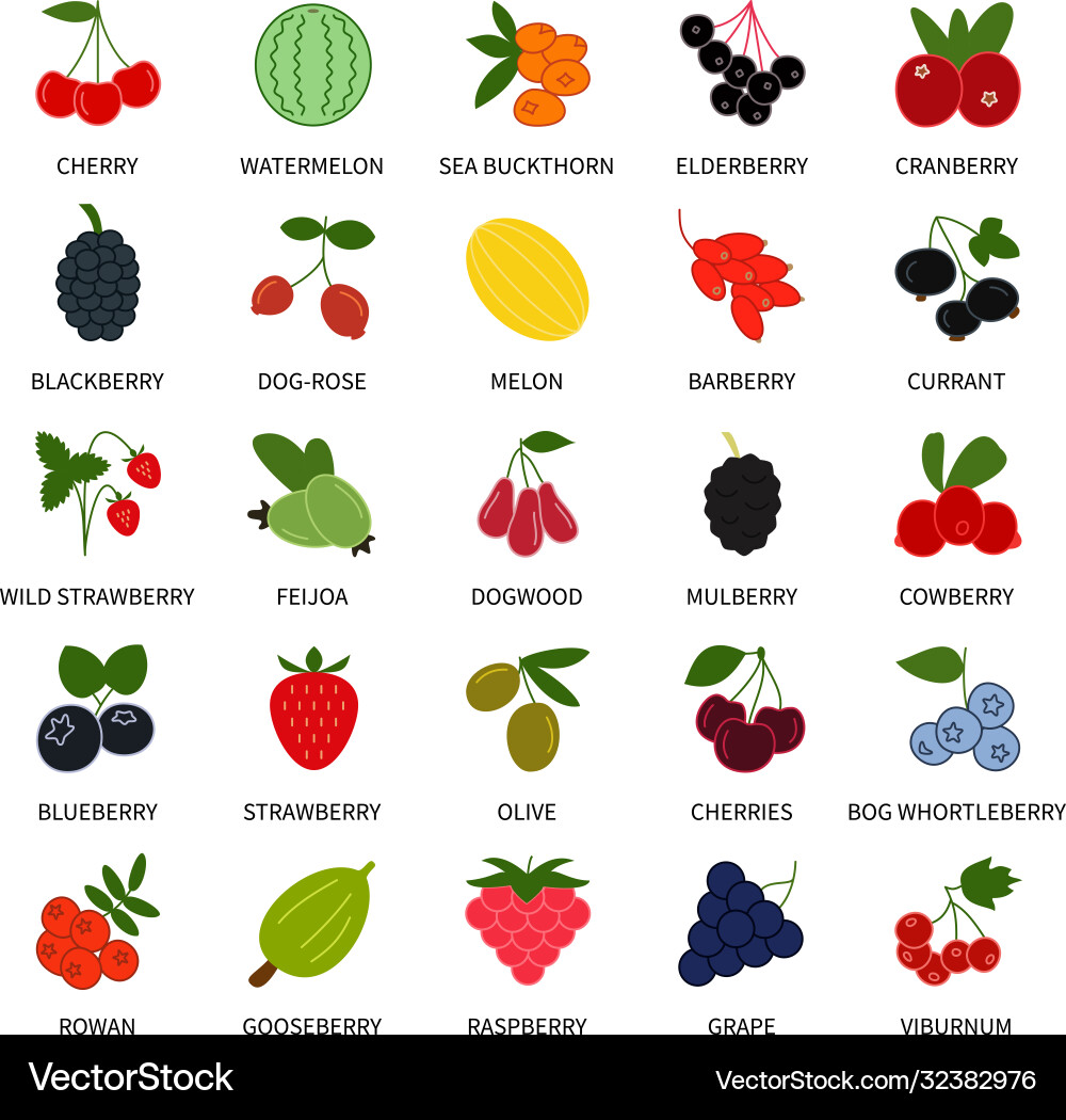 Berries colored icons symbols set isolated Vector Image