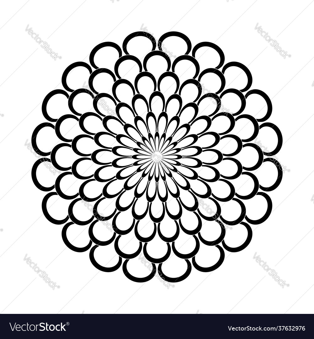 Circle floral pattern Royalty Free Vector Image