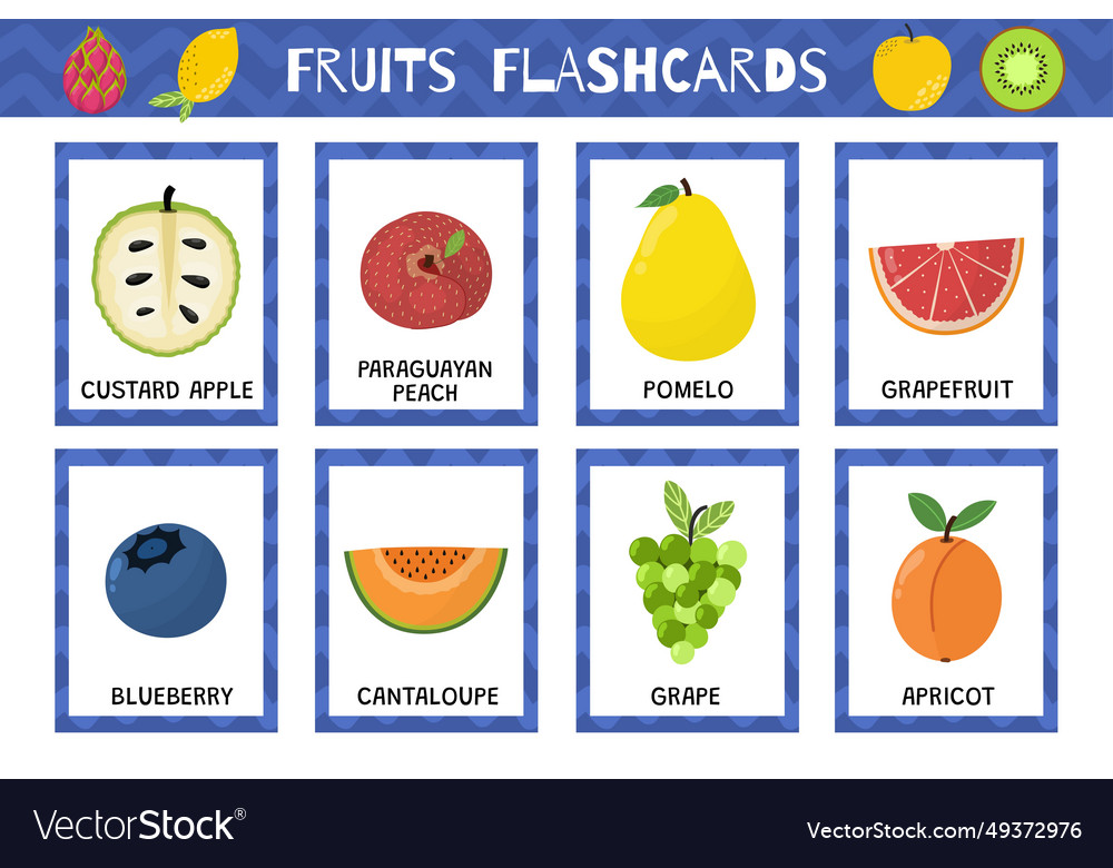 Fruits flashcards collection Royalty Free Vector Image