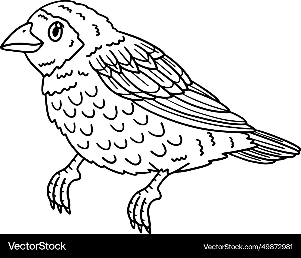 Red billed quelea bird isolated coloring page Vector Image