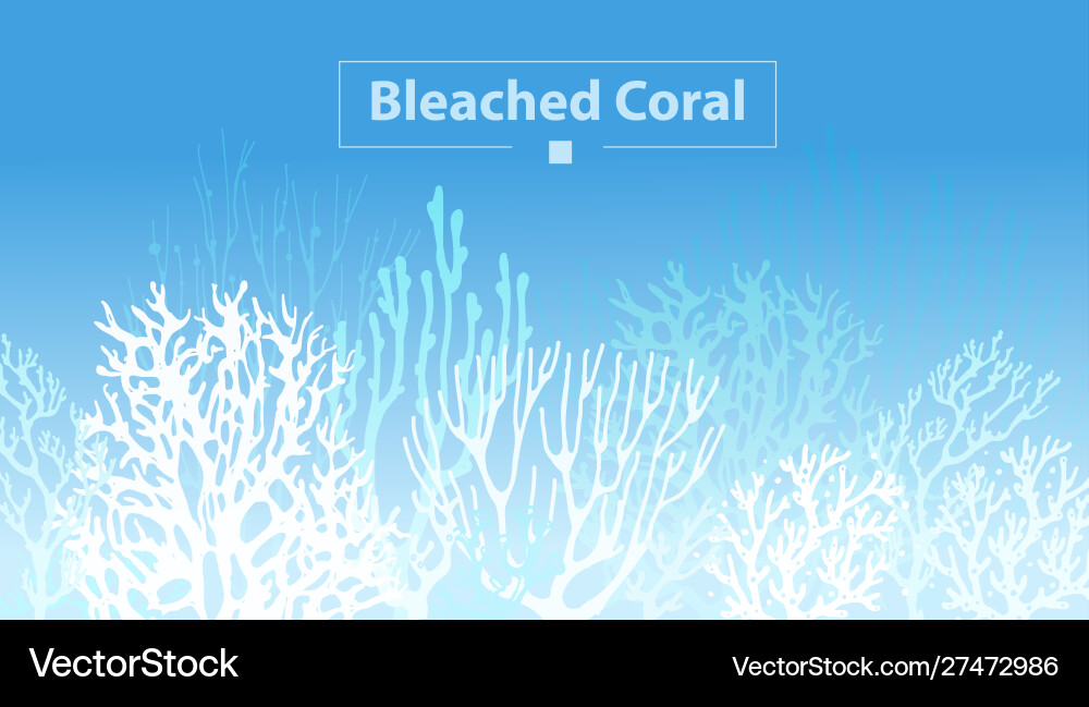 Coral bleaching Royalty Free Vector Image - VectorStock