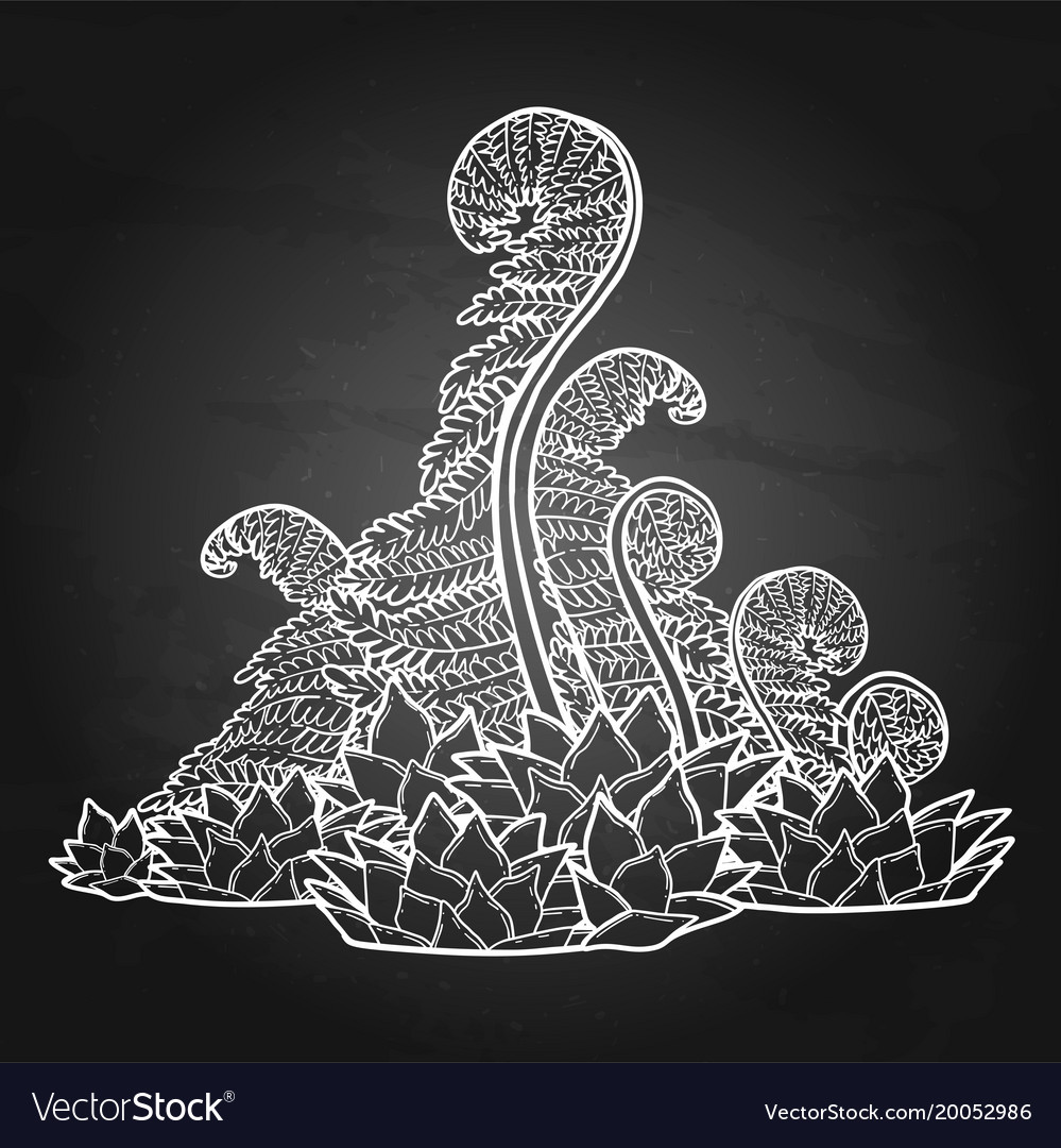 Graphic prehistoric plants Royalty Free Vector Image