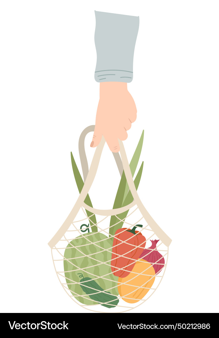 Hand holding eco products mesh beg Royalty Free Vector Image