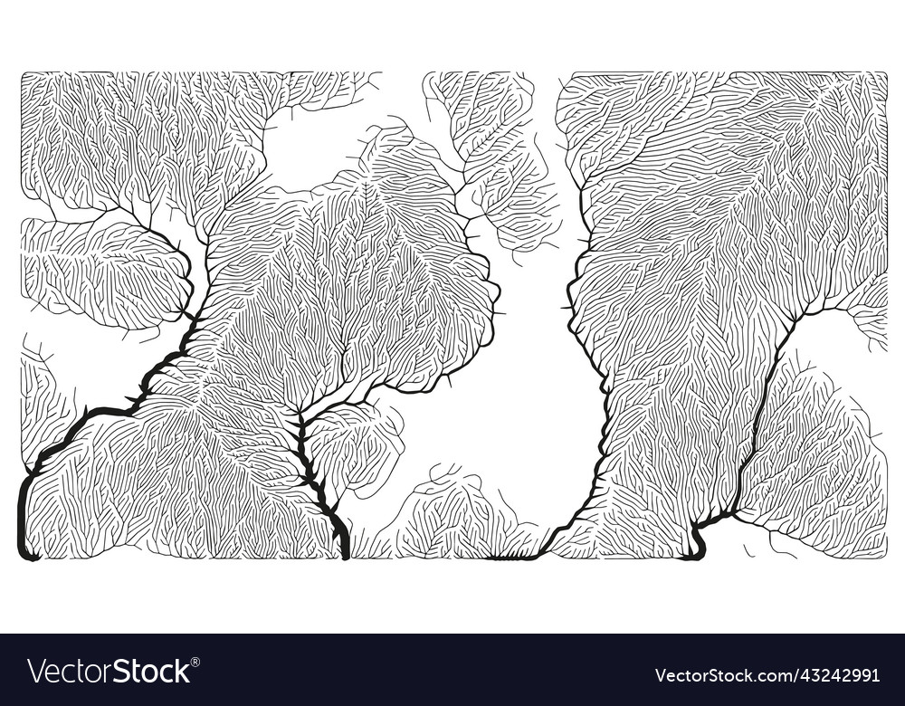 Growth pattern generative branching structure Vector Image
