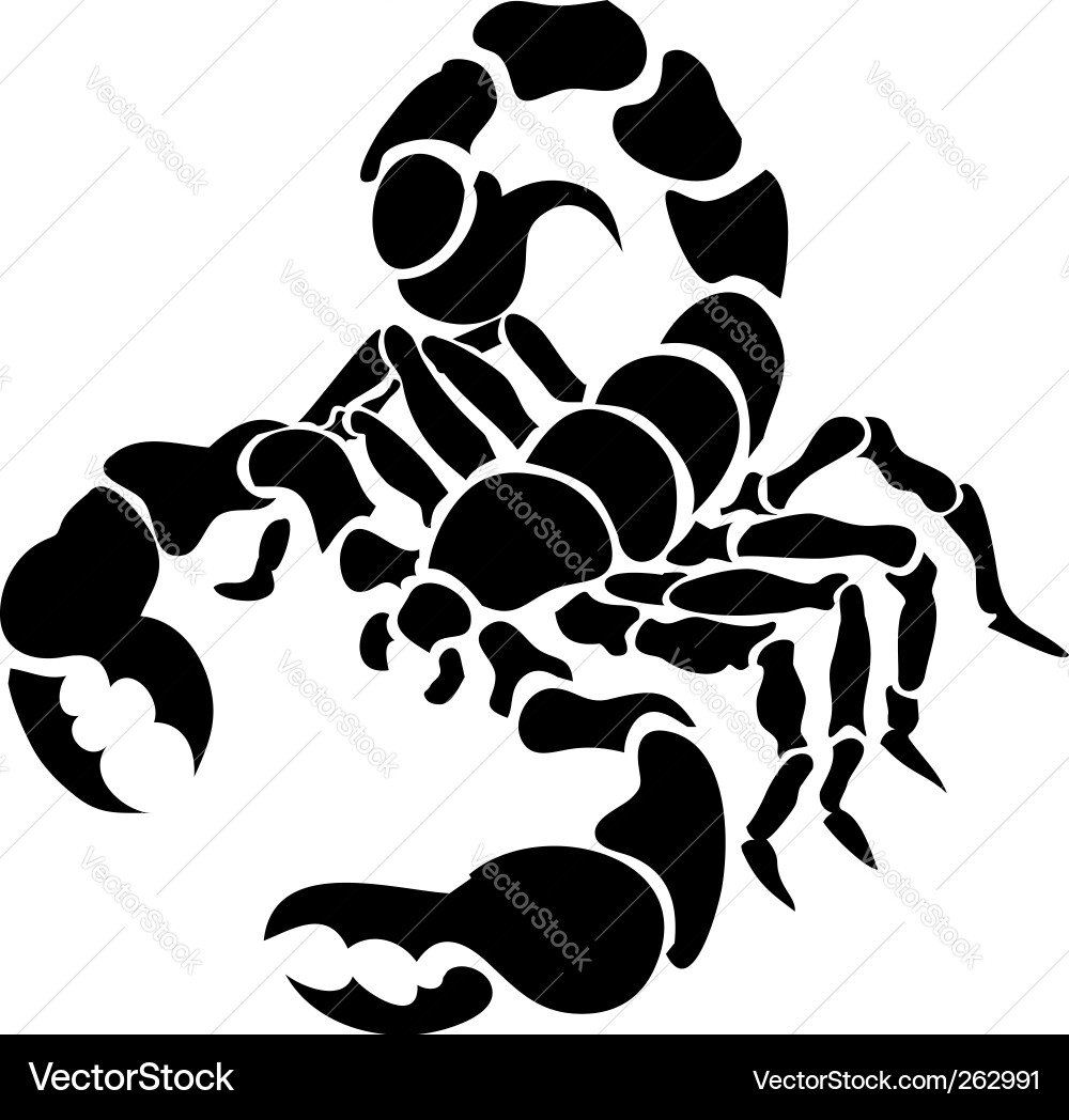 Scorpion illustration Royalty Free Vector Image
