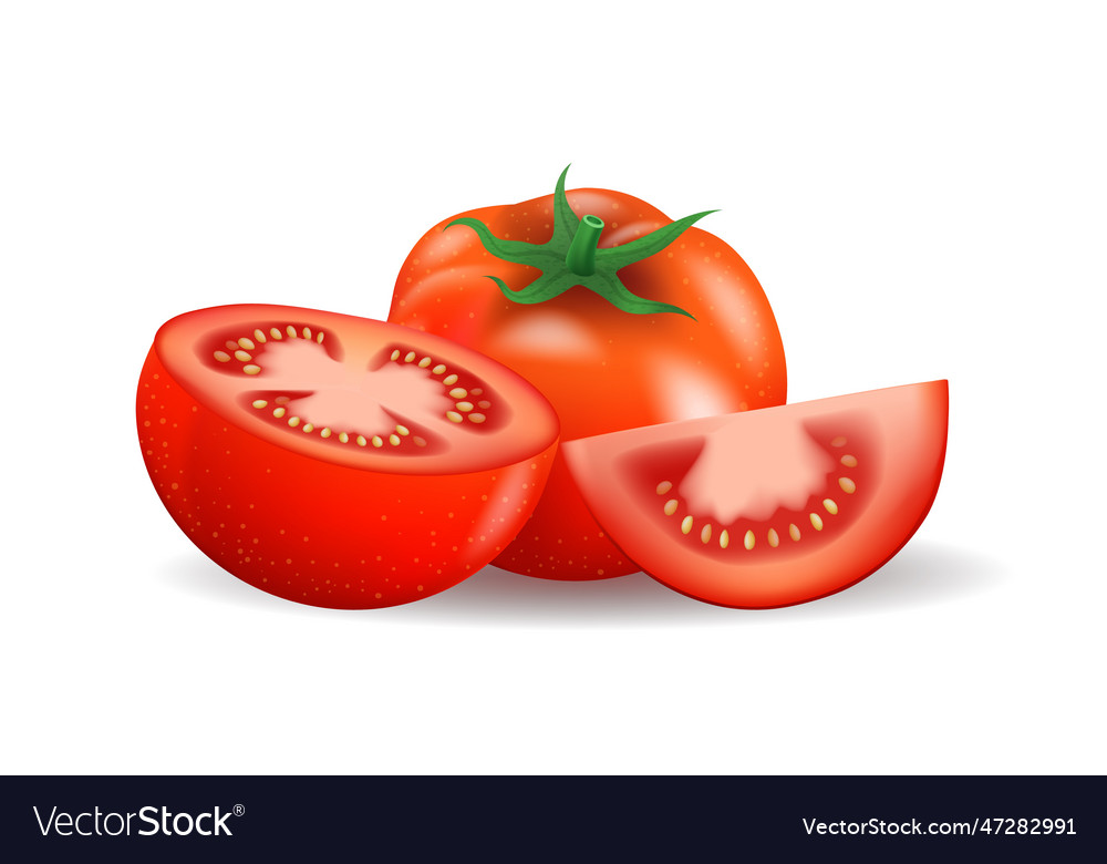 Tomatoes vegetables composition Royalty Free Vector Image