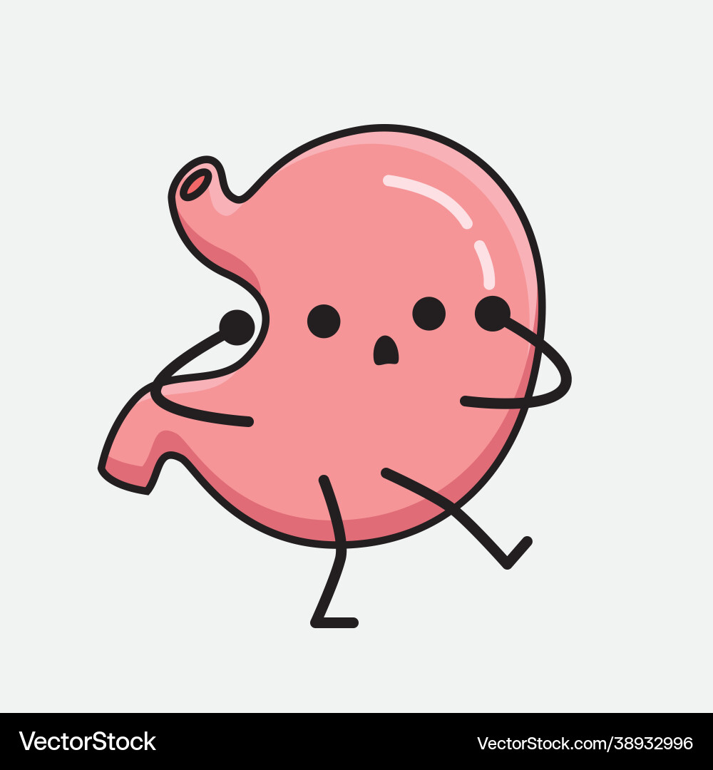 Stomach character with cute face and simple body Vector Image