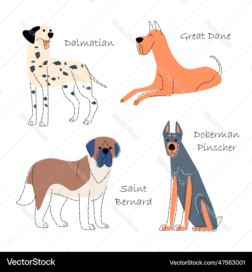 Dog breeds set 1 flat shape and pencil line Vector Image
