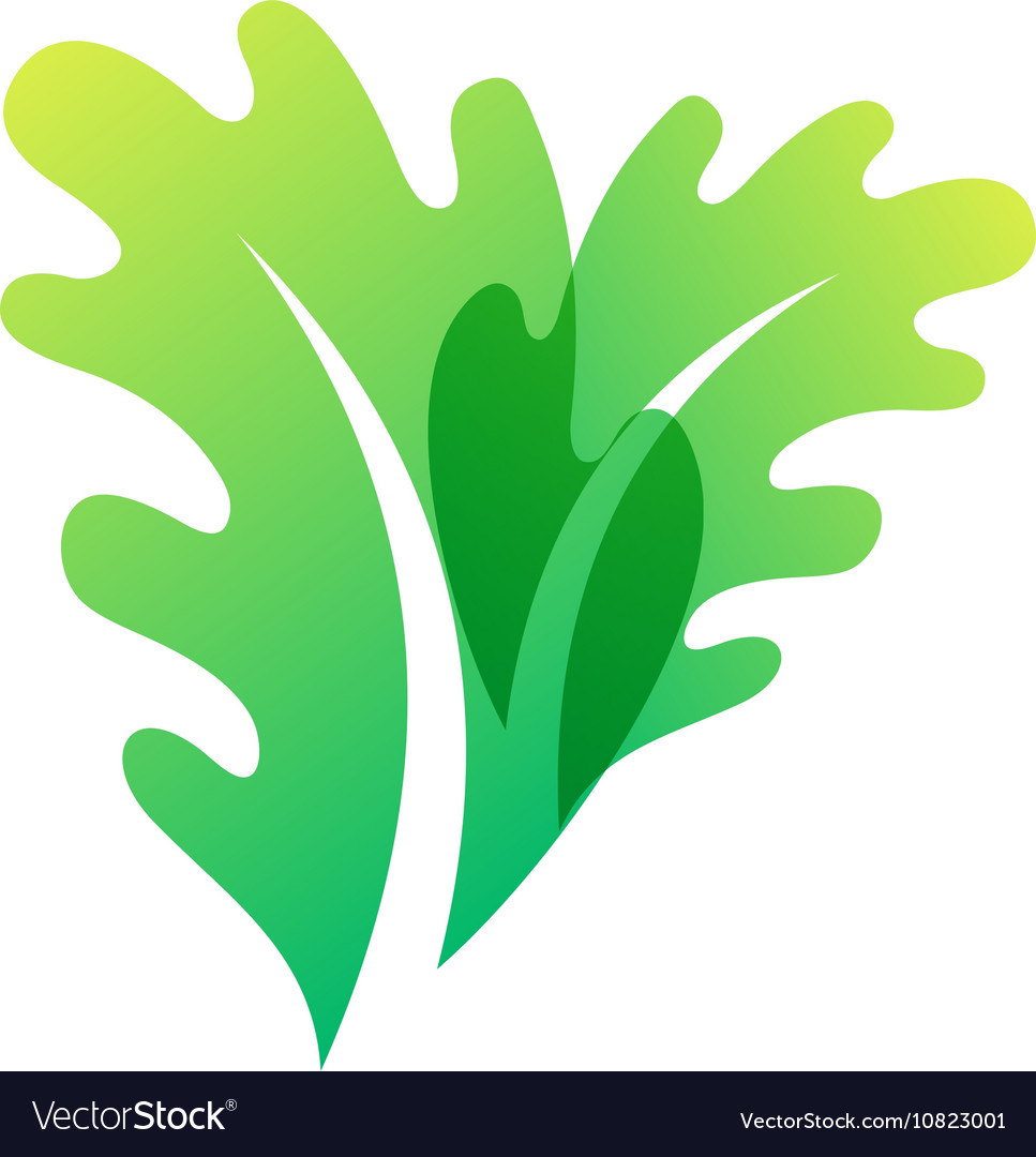 Leaf icon Royalty Free Vector Image - VectorStock Leaf icon Royalty Free Vector Image - VectorStock