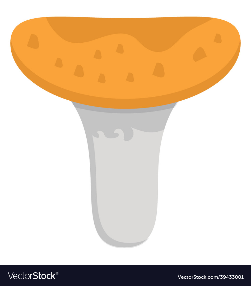 Toadstool Royalty Free Vector Image - VectorStock