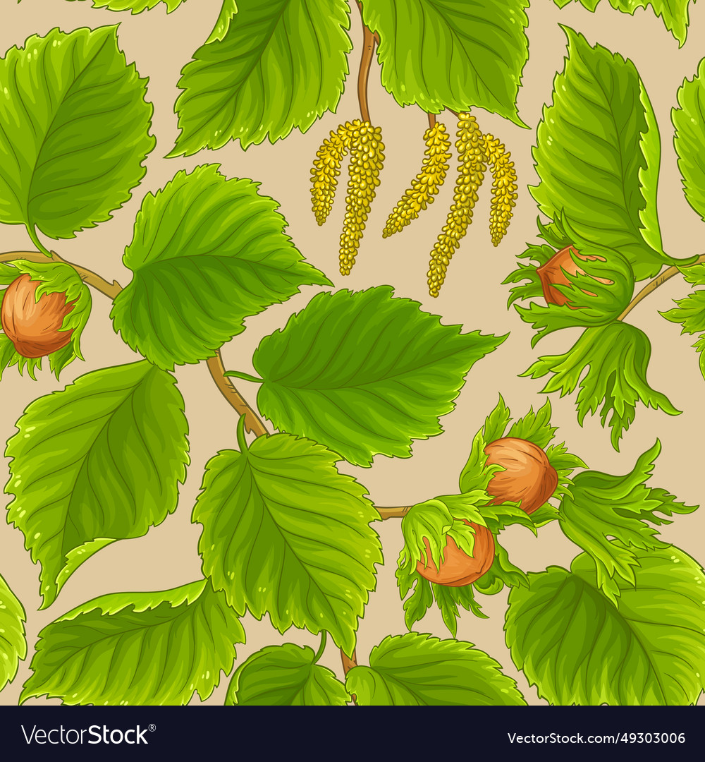 Hazelnut pattern Royalty Free Vector Image - VectorStock