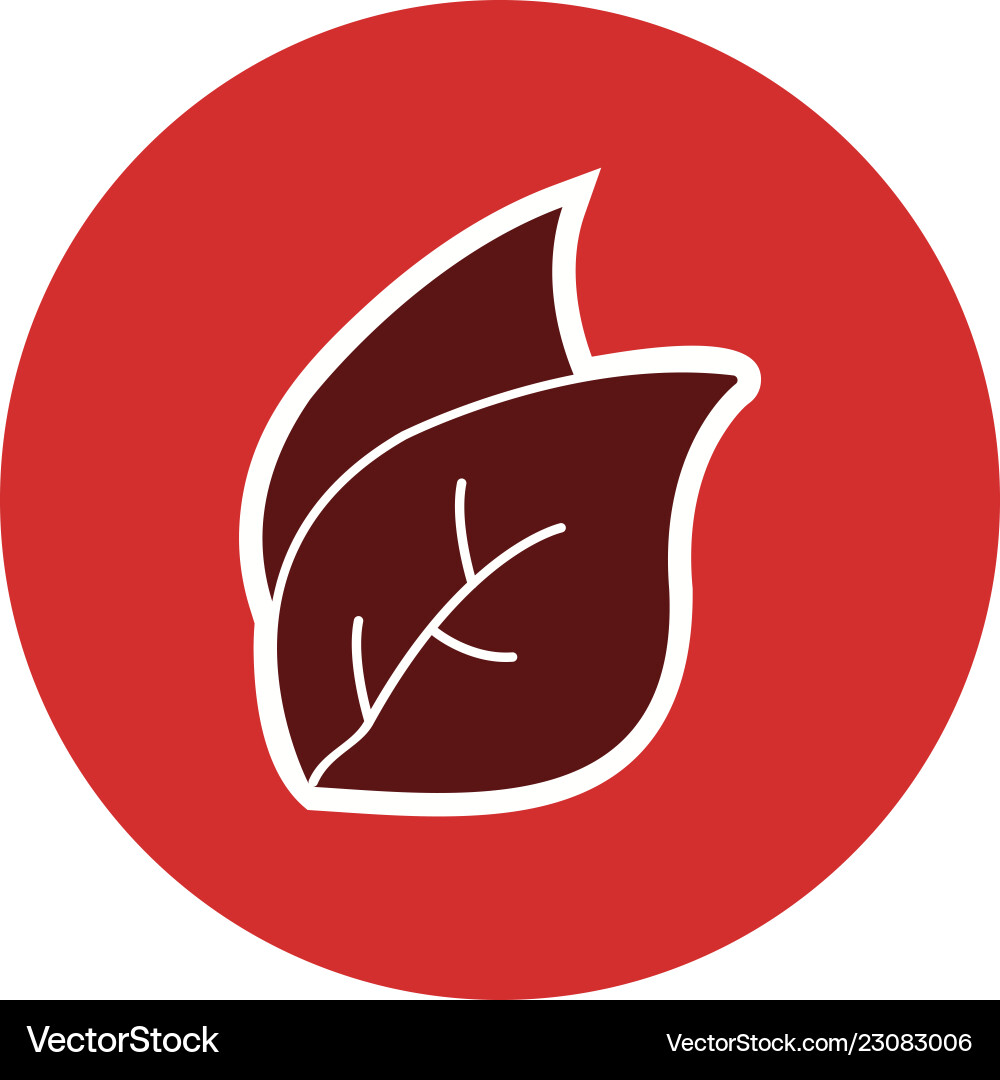 Leaf icon Royalty Free Vector Image - VectorStock