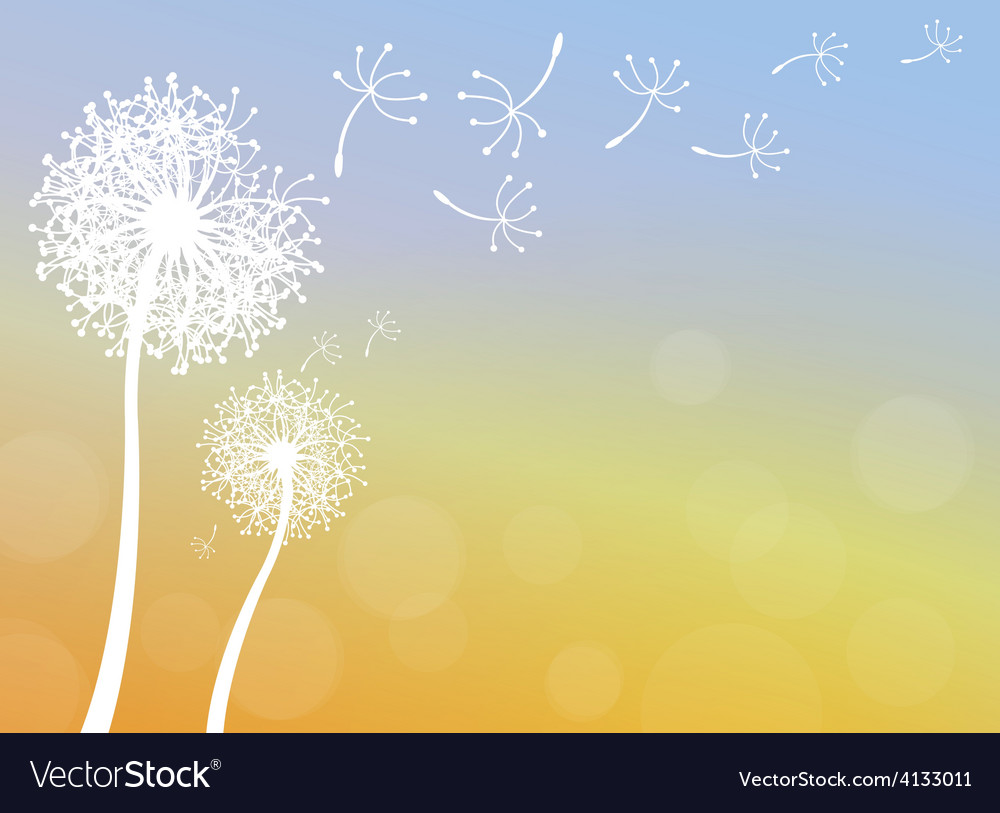 Dandelion Royalty Free Vector Image - VectorStock