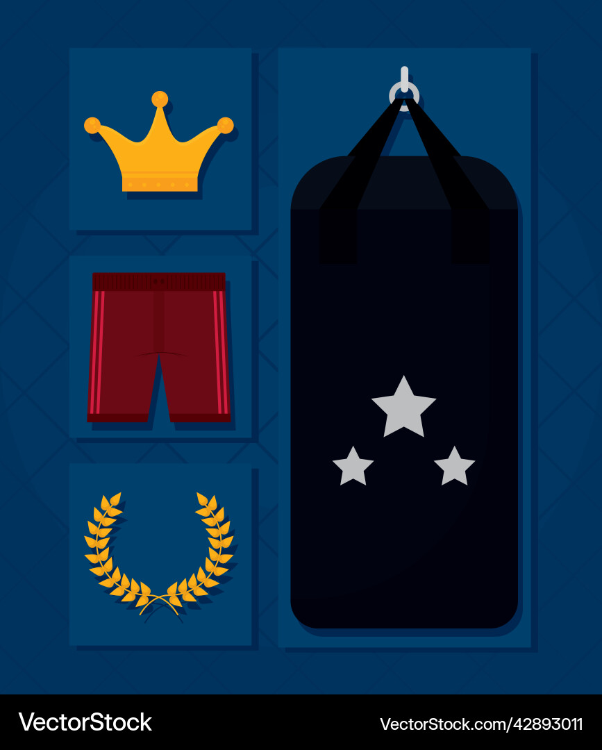 Icon set of boxing Royalty Free Vector Image - VectorStock