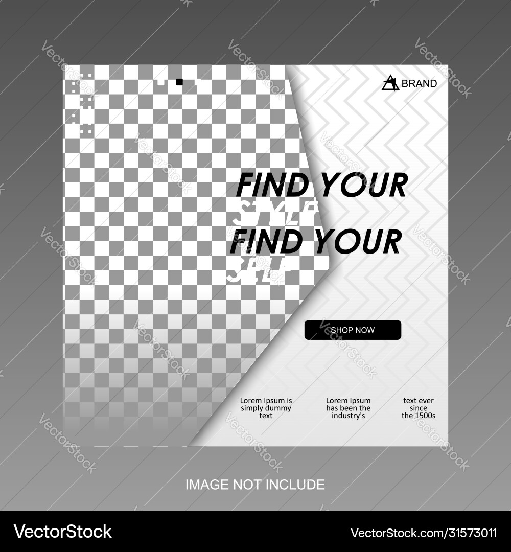 Modern elegant social media instagram template Vector Image