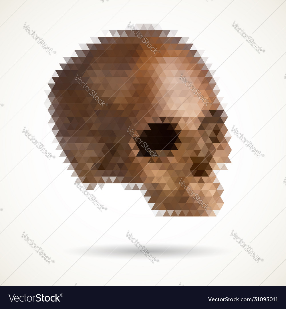 Triangular skull Royalty Free Vector Image - VectorStock