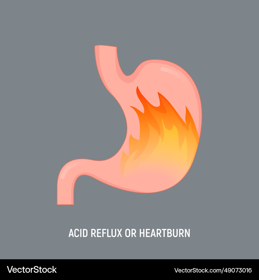 Acid stomach burn gastritis icon gerd acidity Vector Image