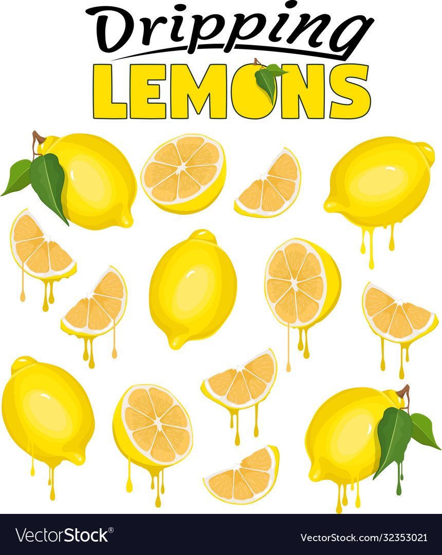 Dripping lemons set Royalty Free Vector Image - VectorStock