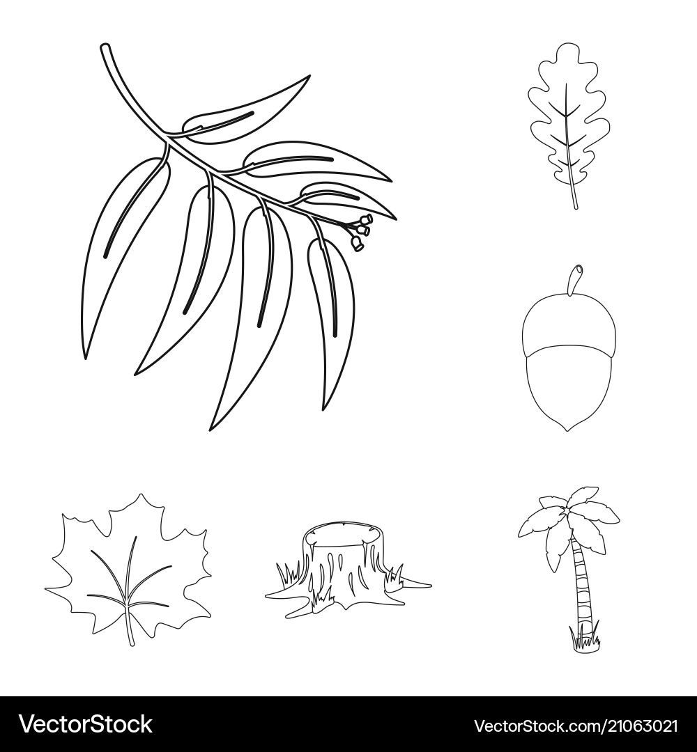 Forest and nature outline icons in set collection Vector Image