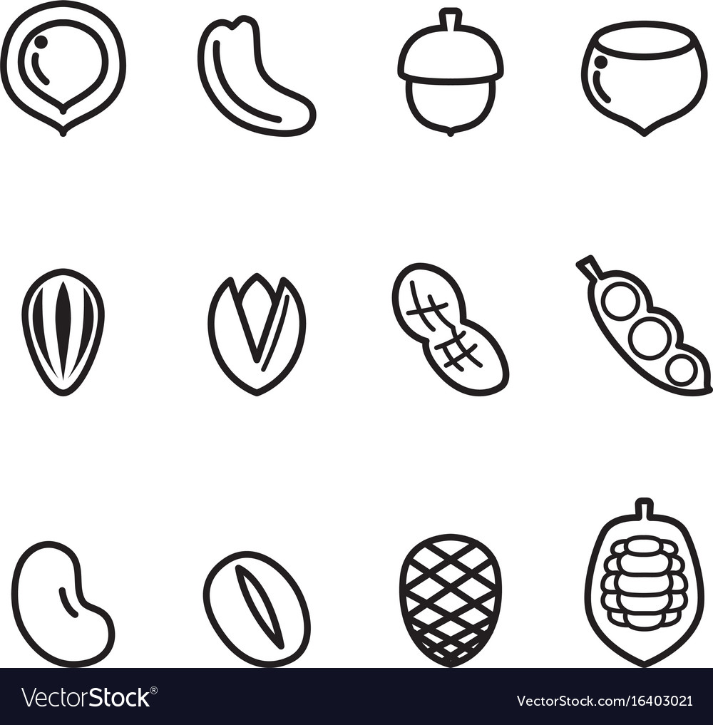 Nut icon set Royalty Free Vector Image - VectorStock