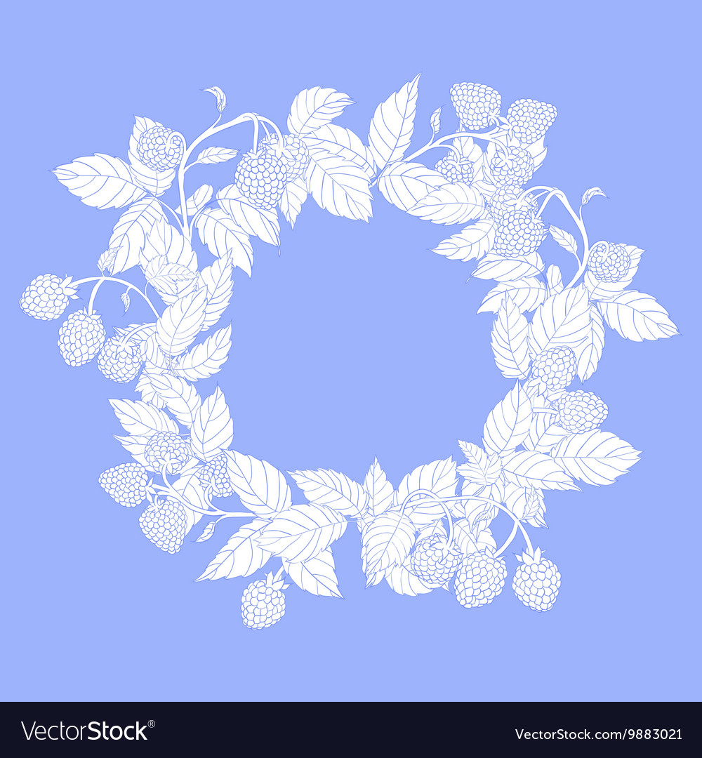 Raspberry frame Royalty Free Vector Image - VectorStock