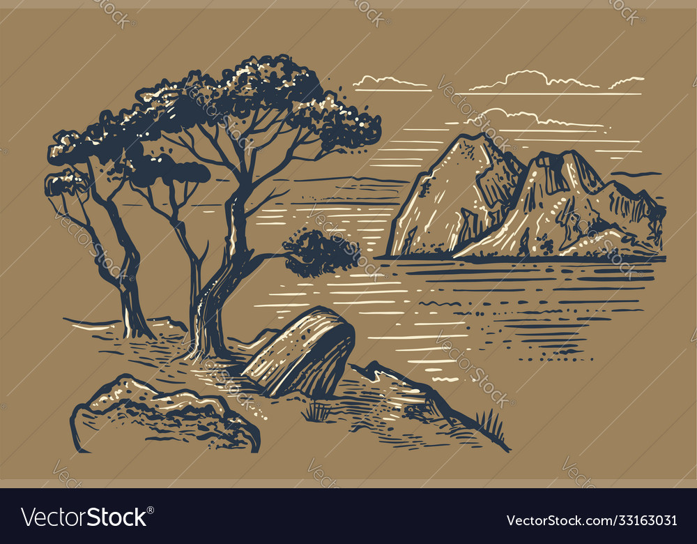 Uneven Pine Tree Stands On Ground Royalty Free Vector Image