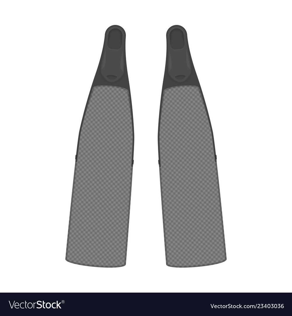 Diving flippers Royalty Free Vector Image - VectorStock