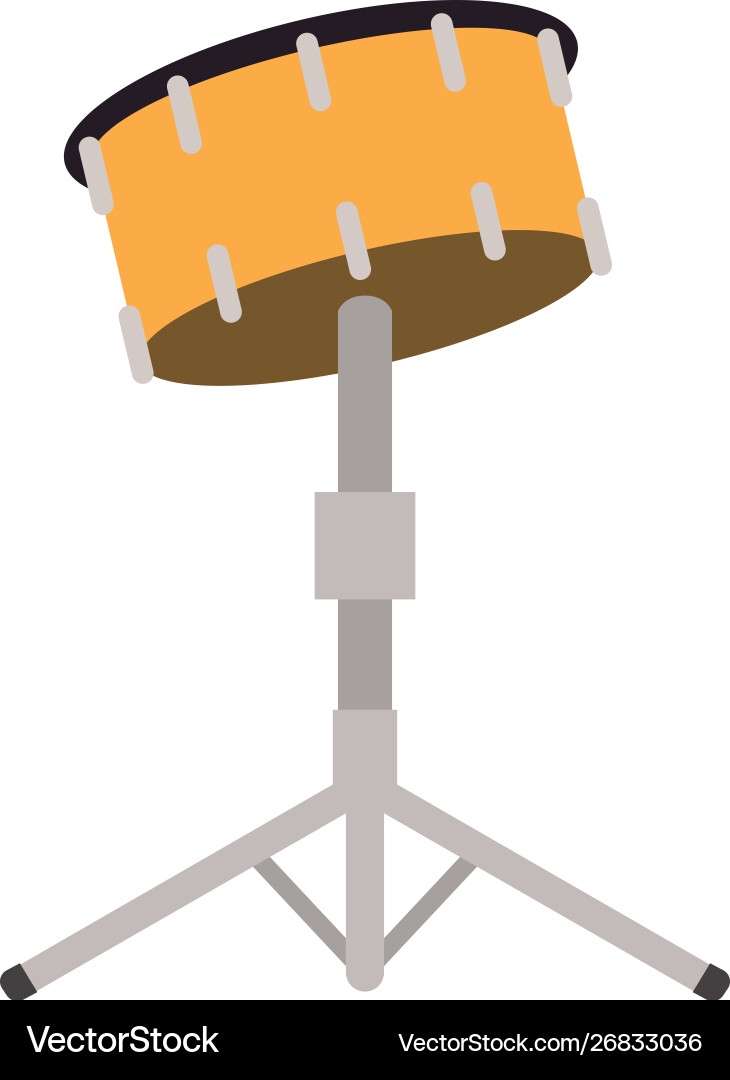 Musical instrument timpani drums on white Vector Image