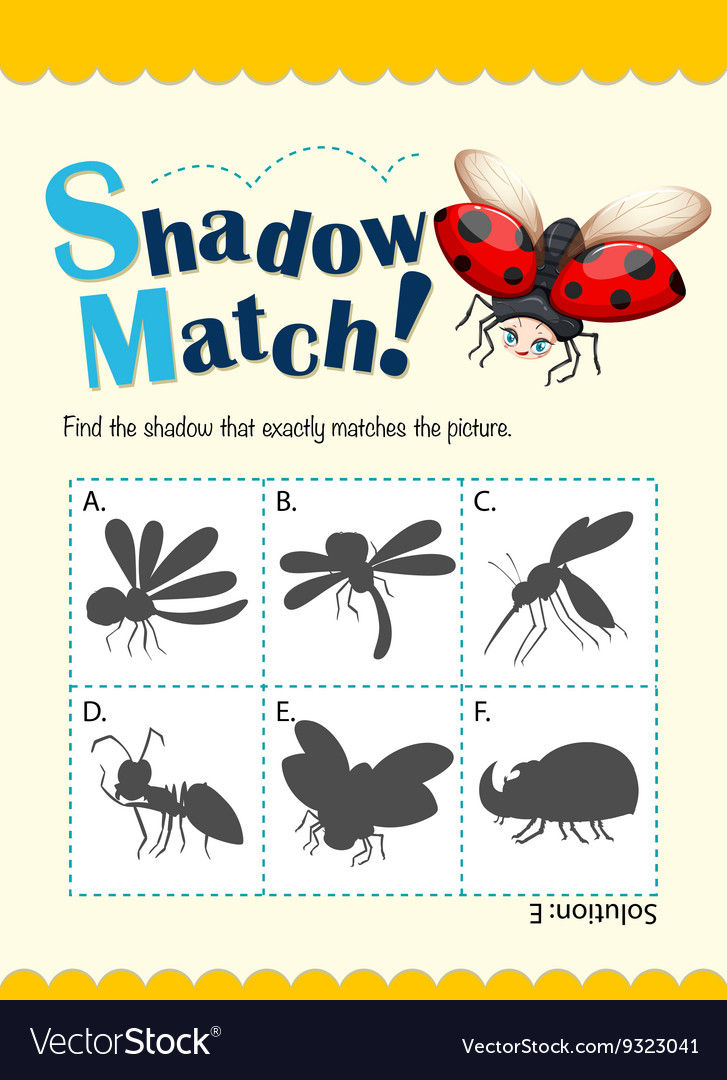 Game template for shadow matching bugs Royalty Free Vector