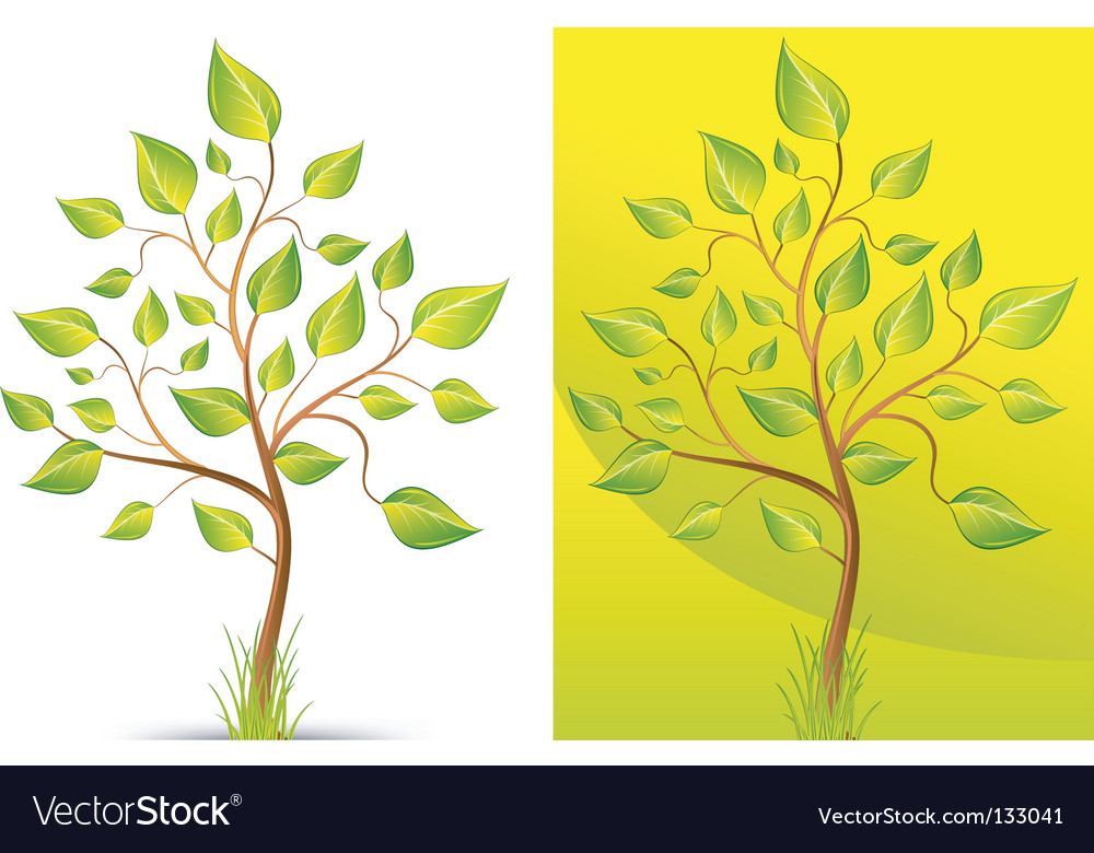 Trees Royalty Free Vector Image - VectorStock