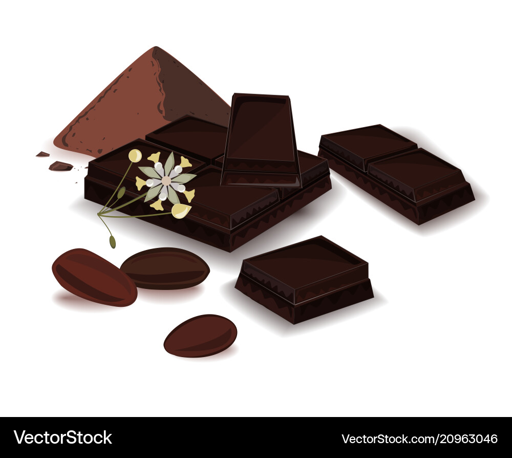 Banner with cocoa powder chocolate bar Royalty Free Vector