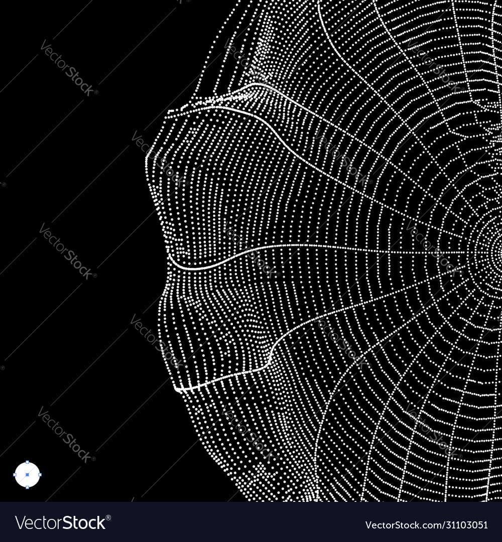 Cobweb network background connection structure Vector Image