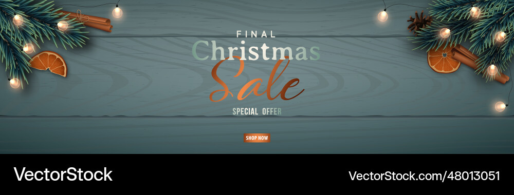 Long horizontal banner with realistic fir Vector Image