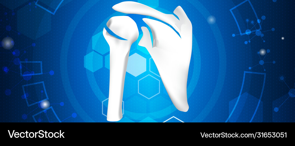 Medical orthopedic shoulder bone Royalty Free Vector Image