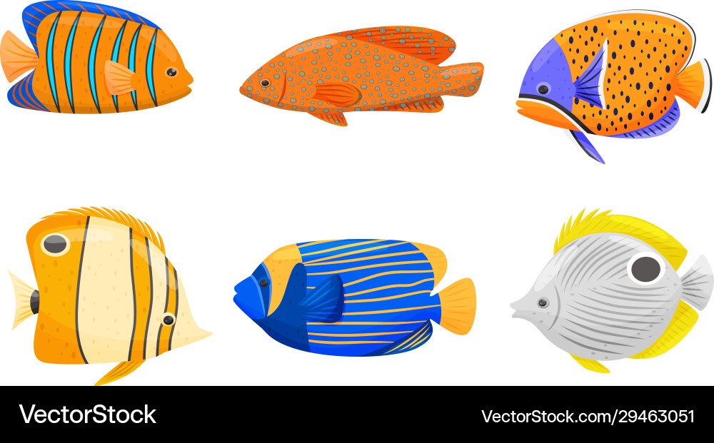 Tropical fish with bright coloration isolated Vector Image