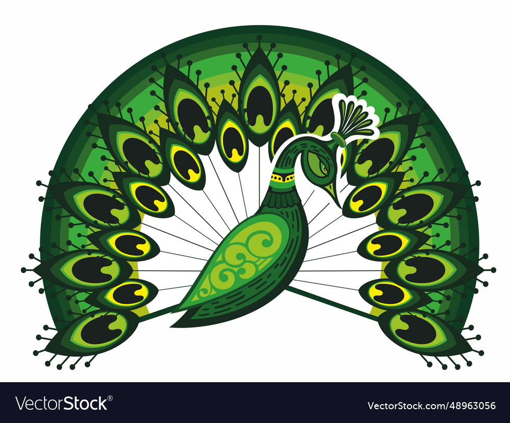 Beautiful peacock Royalty Free Vector Image - VectorStock