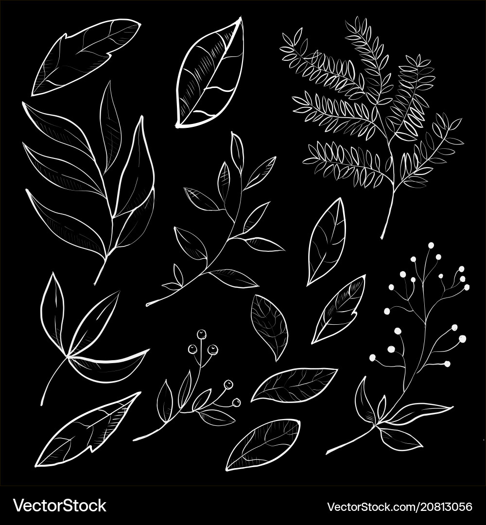 Collection of foliage and branches Royalty Free Vector Image