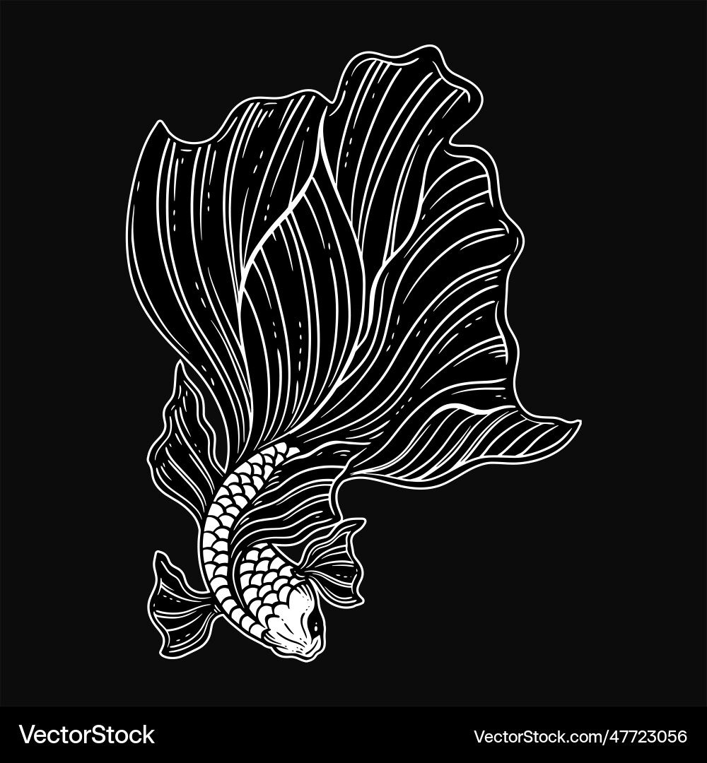 Hand drawn betta fish aquatic black white vintage Vector Image