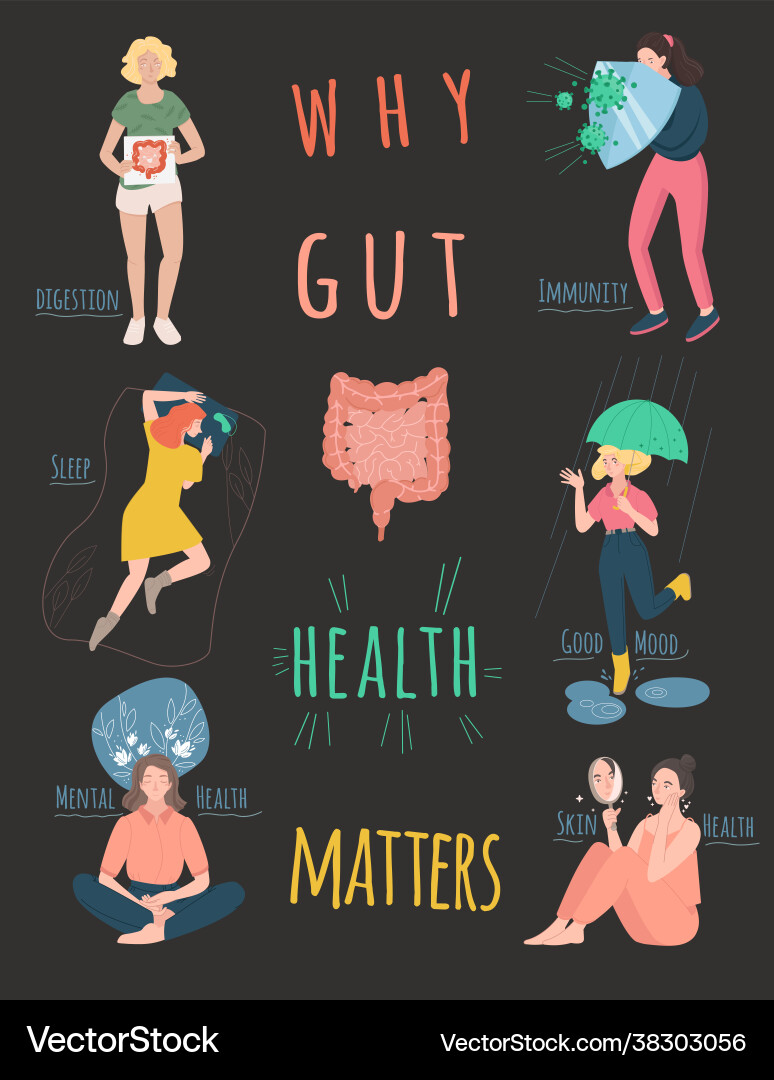 Why gut health matters vertical poster Royalty Free Vector