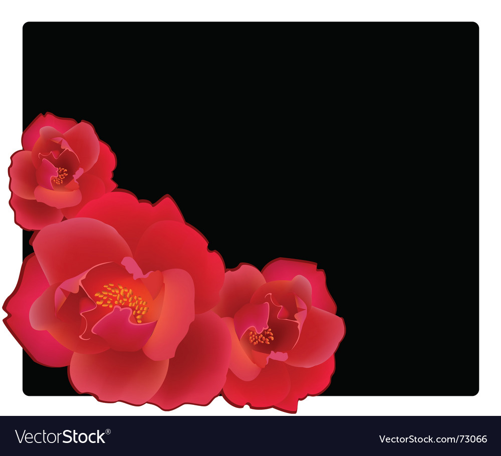 Flower Royalty Free Vector Image - VectorStock