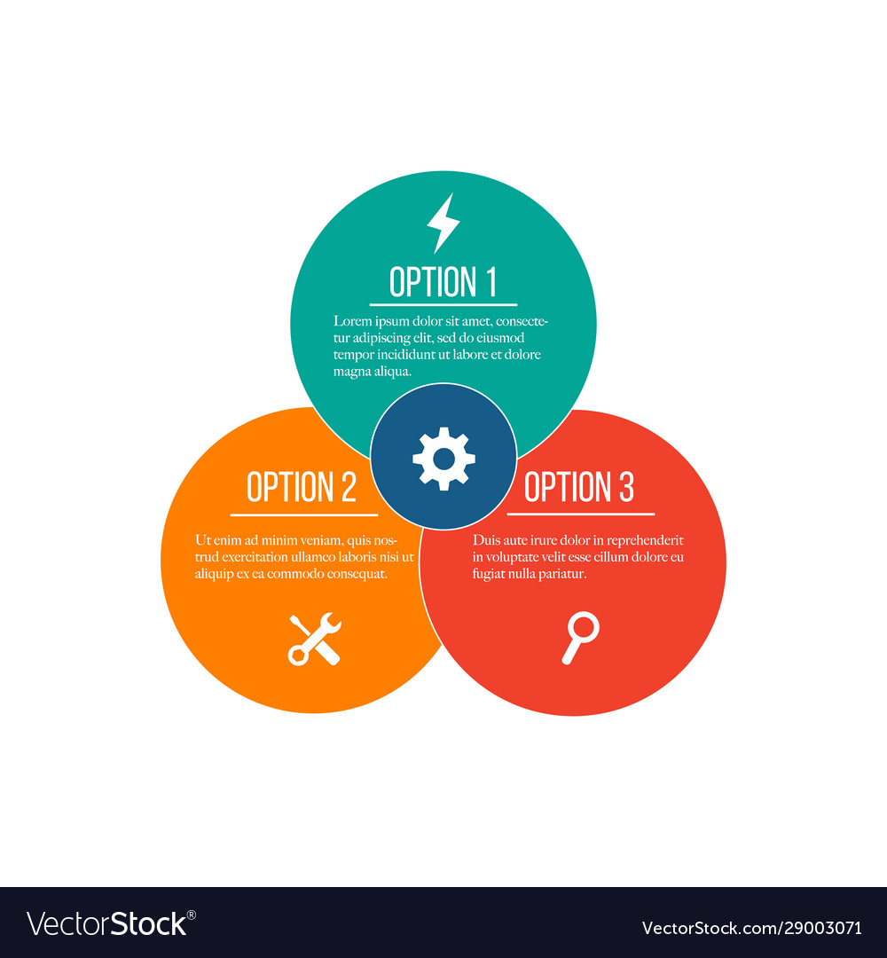 Circle infographic template for diagram graph Vector Image