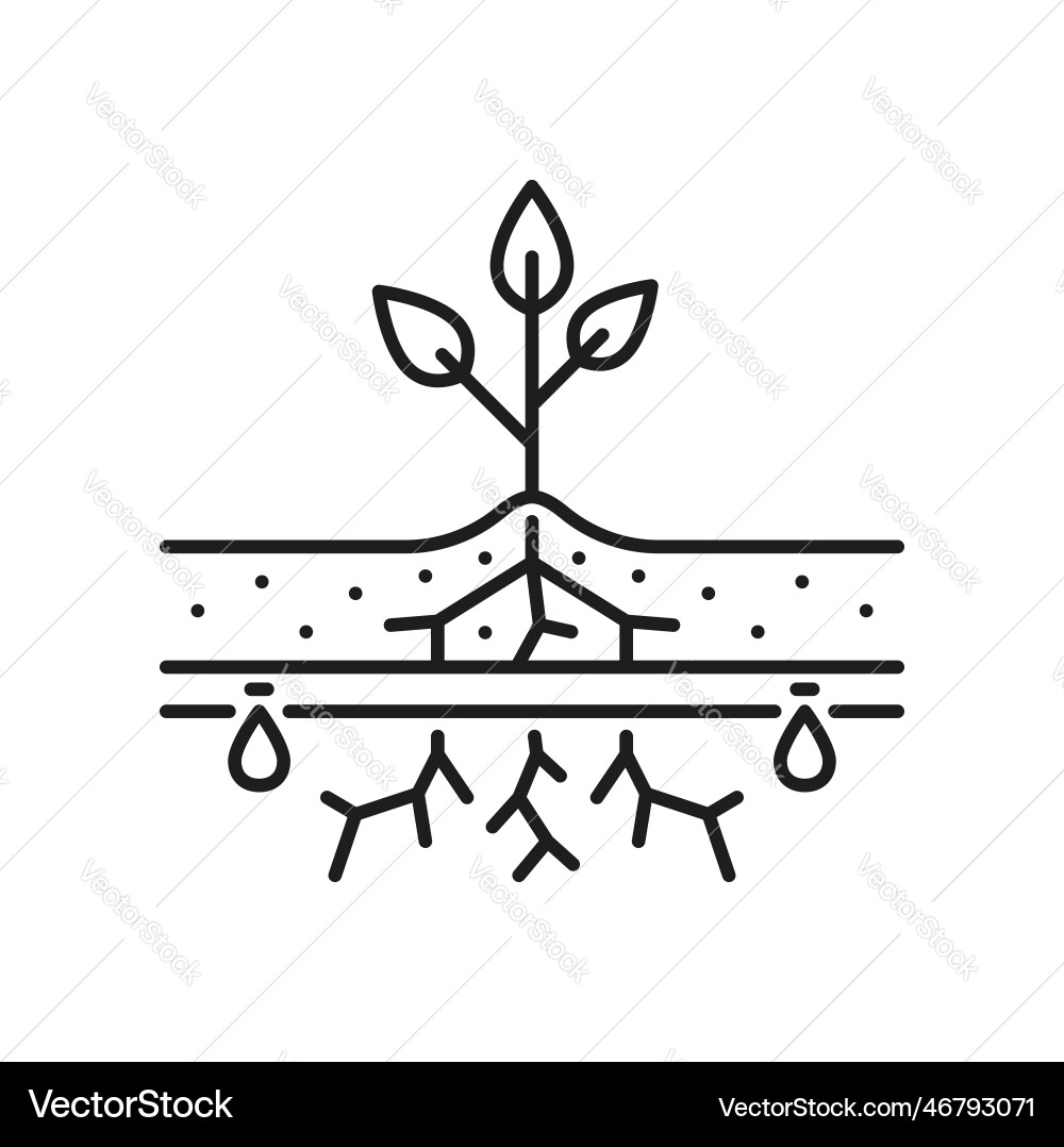 Plant seedling drip watering irrigation icon Vector Image