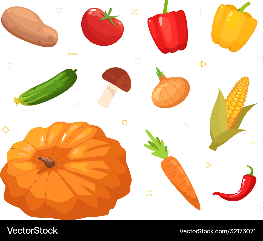 Various autumnal vegetables semi flat rgb color Vector Image