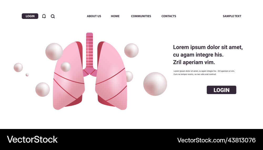 Anatomical lungs icon human body internal organ Vector Image