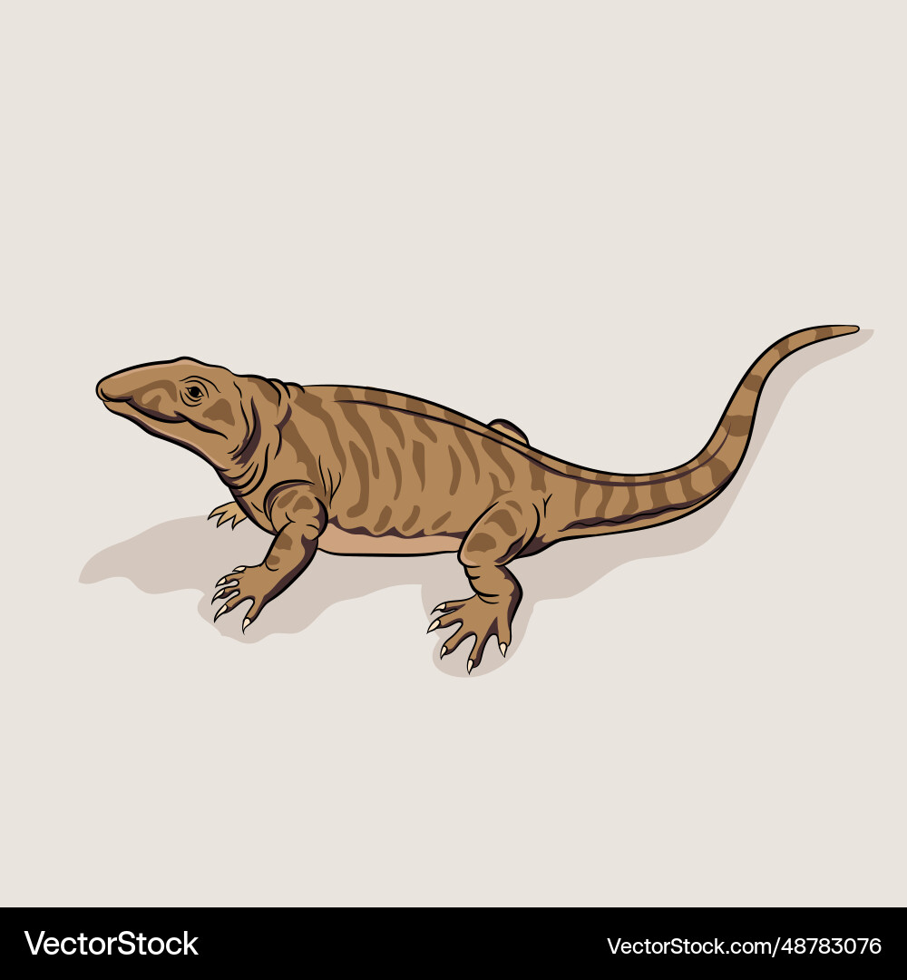 Image of monitor lizard Royalty Free Vector Image