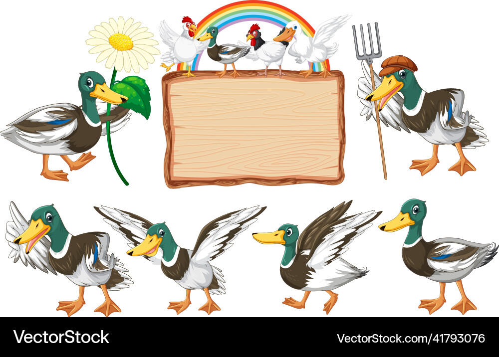 Set of different poses ducks cartoon characters Vector Image