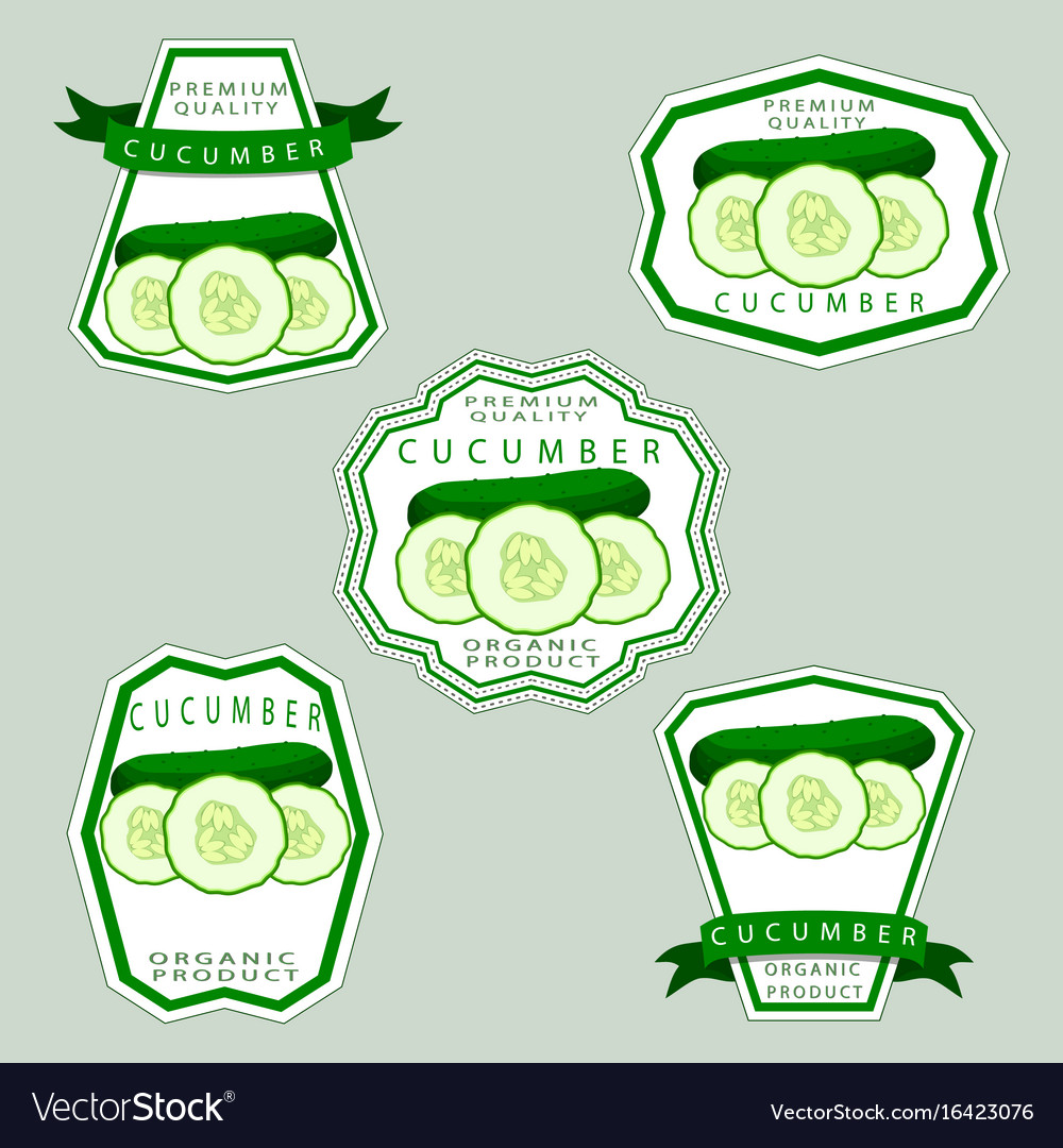 Theme cucumber Royalty Free Vector Image - VectorStock
