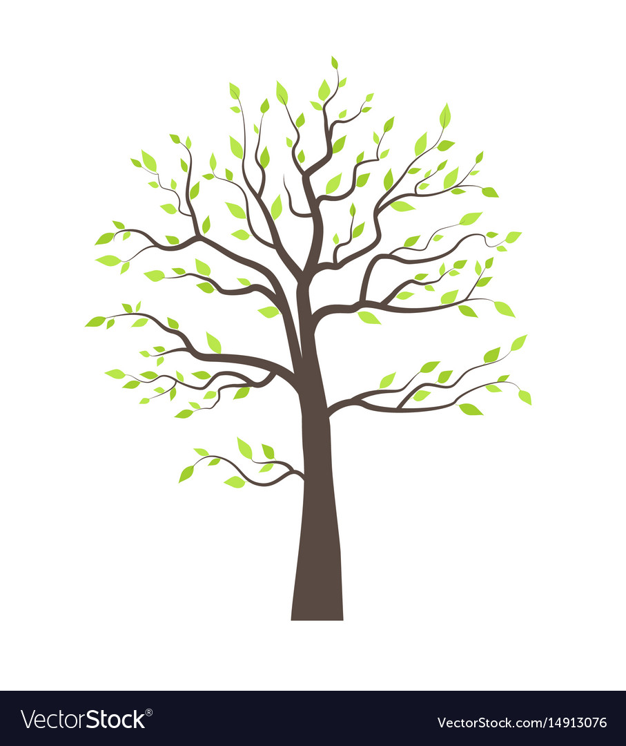 Trees with leaves Royalty Free Vector Image - VectorStock
