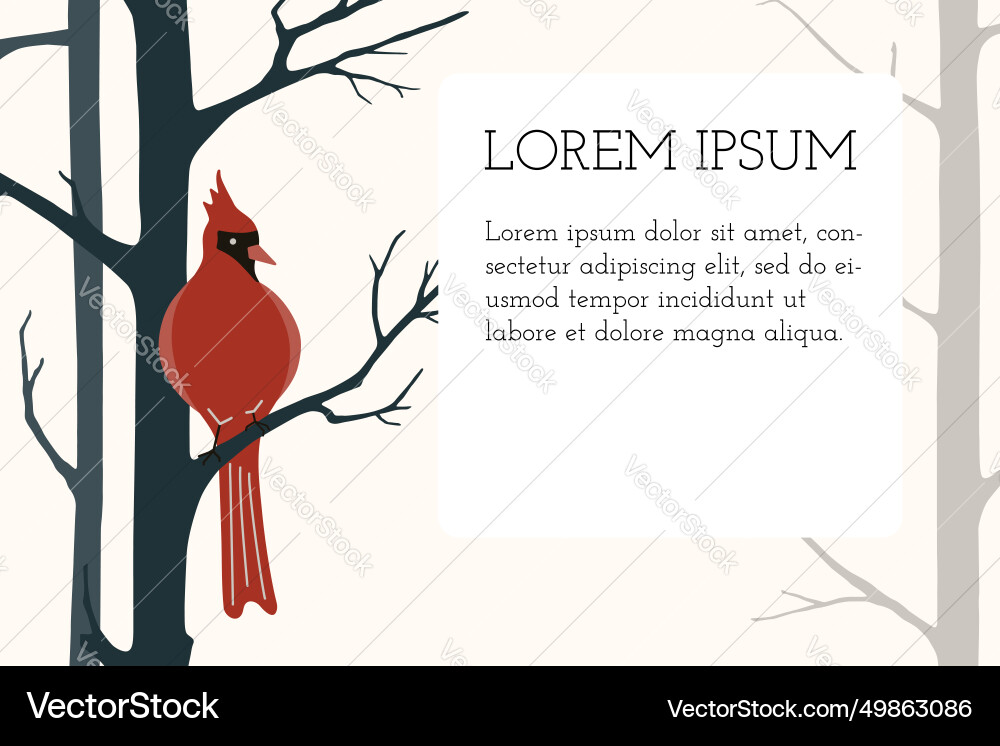Red cardinal bird banner cute northern Royalty Free Vector