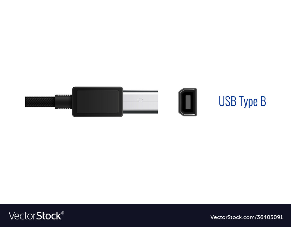 Usb type b composition Royalty Free Vector Image